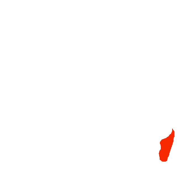Find the African Countries - No Borders