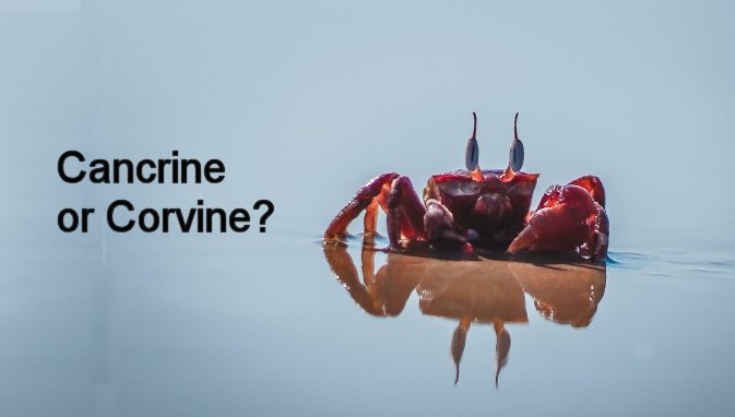 A List | Collateral Adjectives for Animals - C